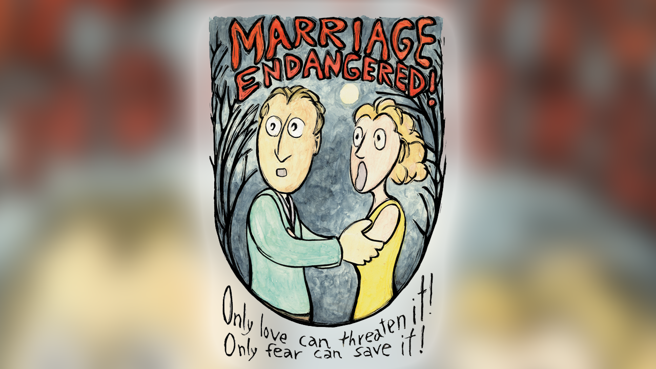 “Love is Love” and Other Stories: The Role of Narrative in Winning the ...