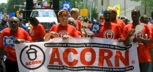 What ACORN Taught Us | The Forge